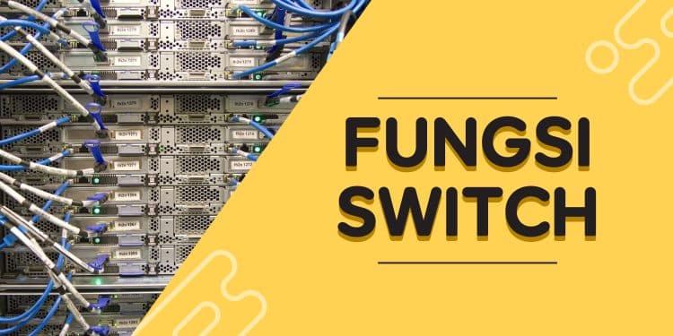 Apa Itu Switch? Pengertian, Fungsi, Jenis & Cara Kerjanya - Herza Cloud